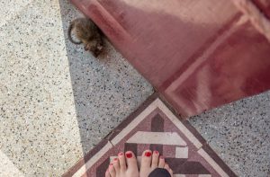 Rajasthan Rundreise: Sehenswürdigkeiten, Route und Tipps