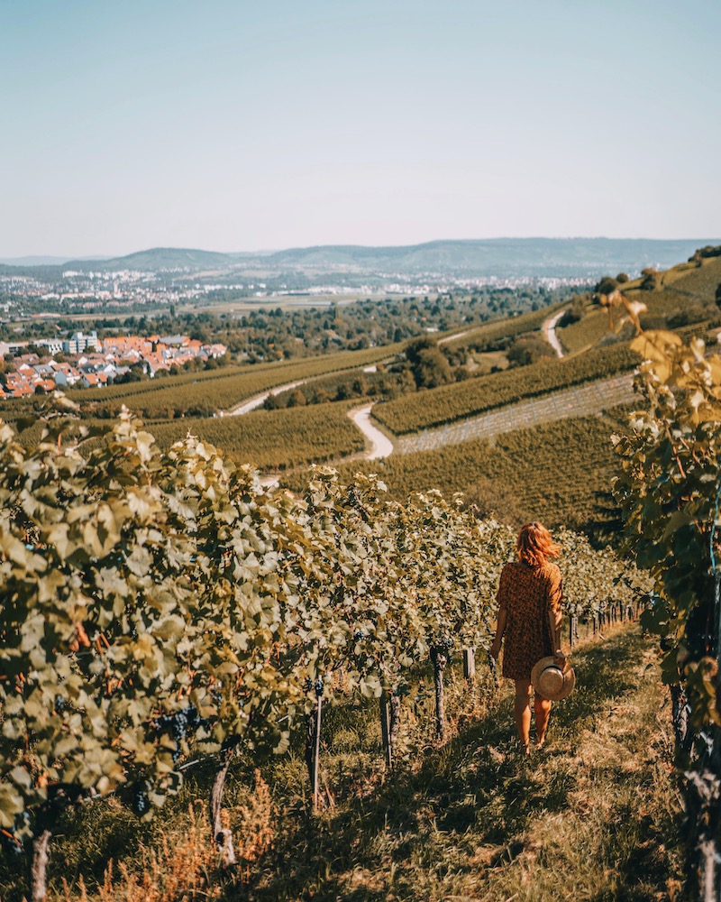 Ausflugsziele Stuttgart: 10 geniale Touren, die sich lohnen