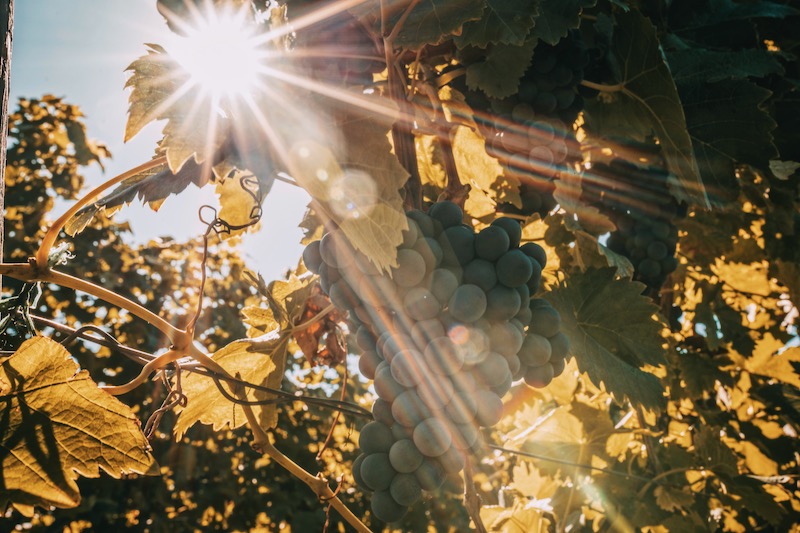 Ausflugsziele Stuttgart: 10 geniale Touren, die sich lohnen